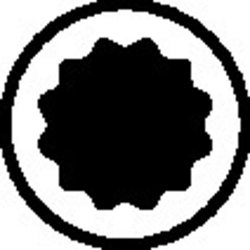 Steckschlüsseleinsatz 54 X 1/2 Innen-Vielzahn M6 Länge 60 mm - G.F ...